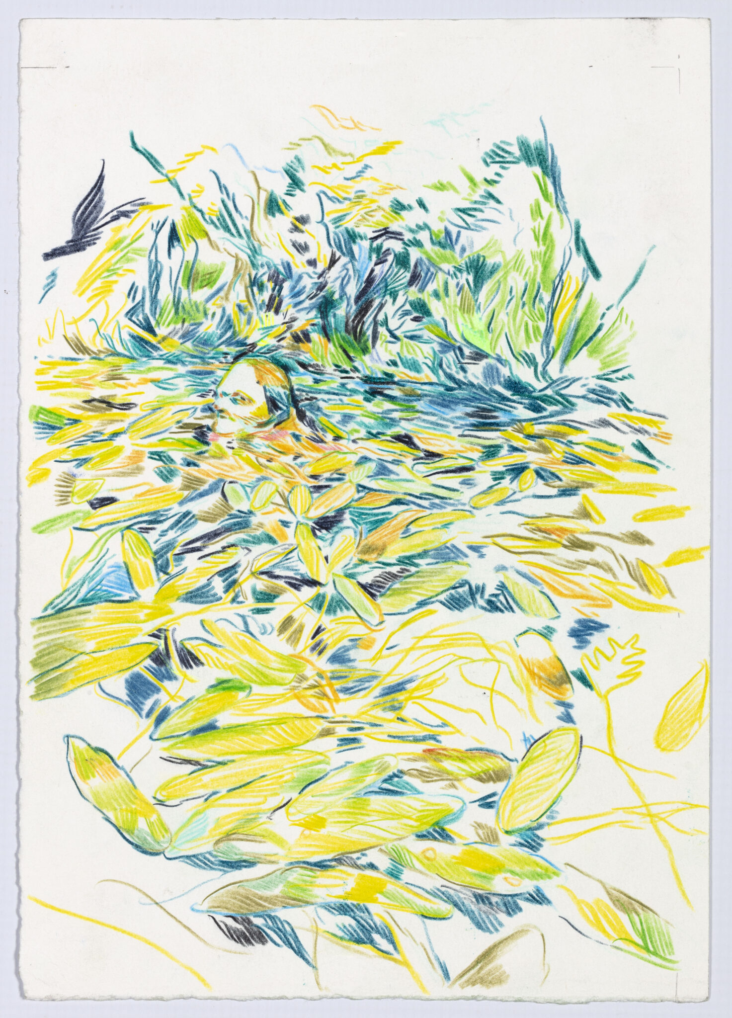 Heidi Fourie - DAVID KRUT PROJECTS