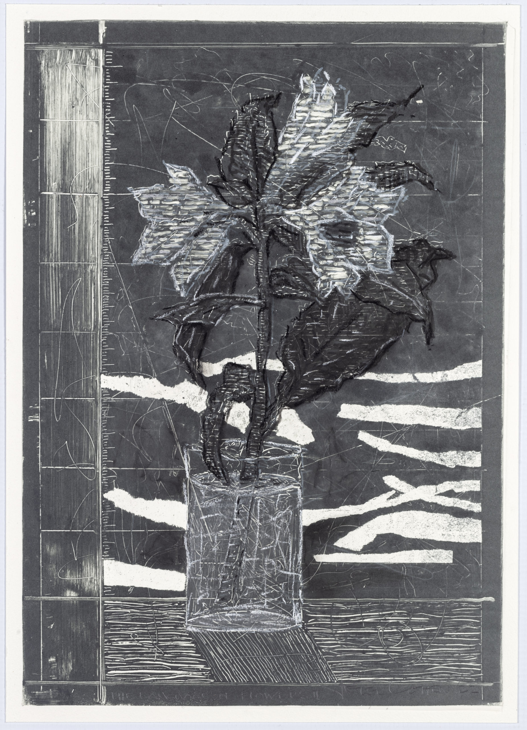 Peter Cohen - DAVID KRUT PROJECTS