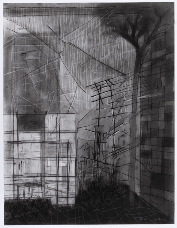 Peter Cohen - DAVID KRUT PROJECTS