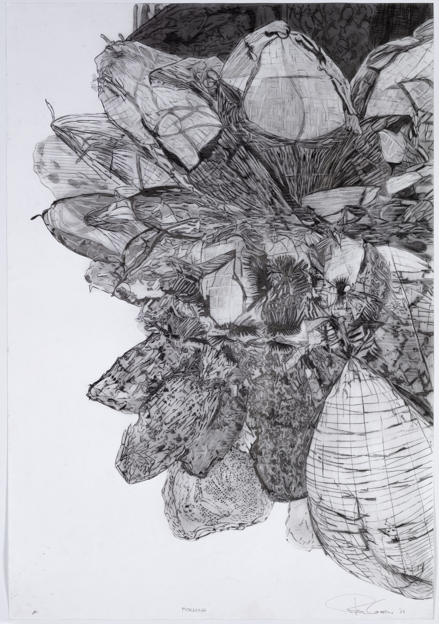 Peter Cohen - DAVID KRUT PROJECTS