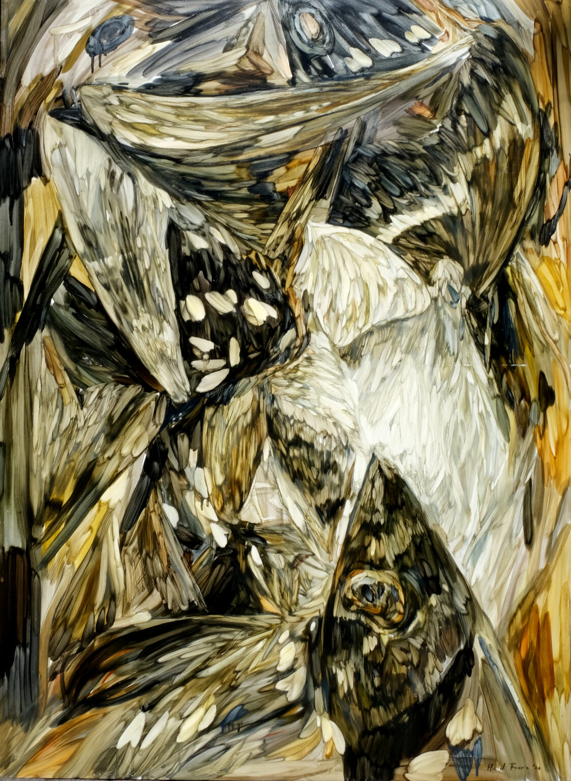 Heidi Fourie - DAVID KRUT PROJECTS