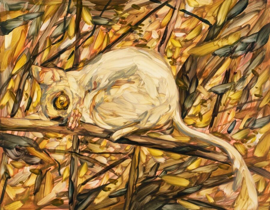 Heidi Fourie: Soft Release - DAVID KRUT PROJECTS